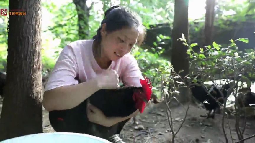 退伍夫妇用30亩传统生态养殖铺筑“致富路”