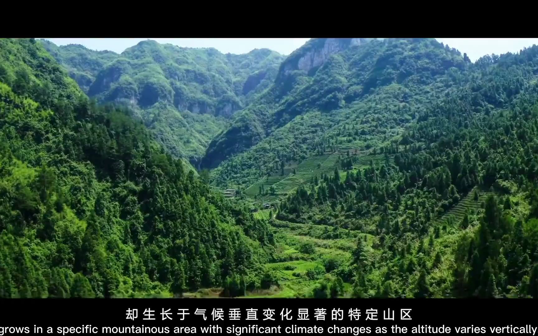 湖南省湘西土家族苗族自治州探索生物多样性保护立法