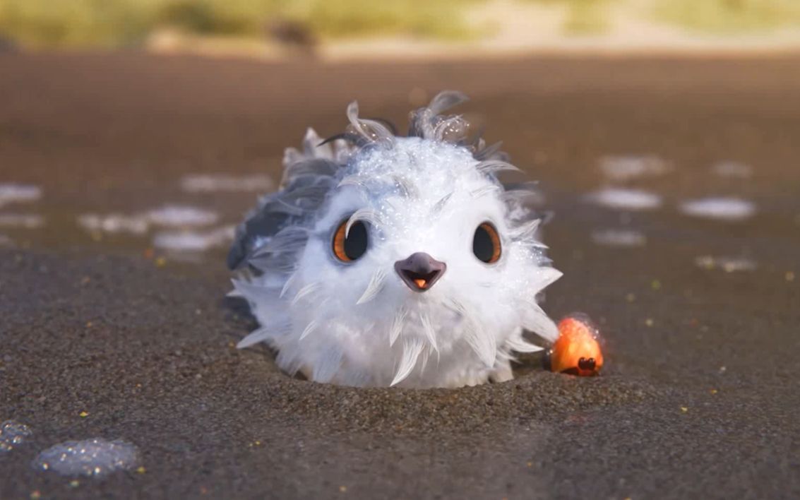 奥斯卡最佳动画短片,小海鸟勇敢克服恐水症,萌萌哒超暖心