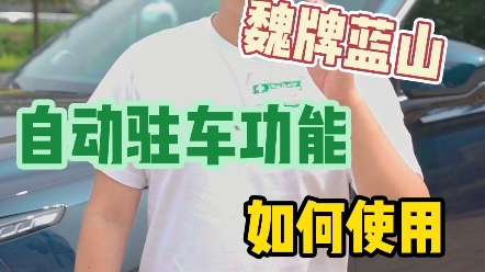 魏牌蓝山自动驻车功能如何使用? #魏牌蓝山 #长城汽车 #魏派