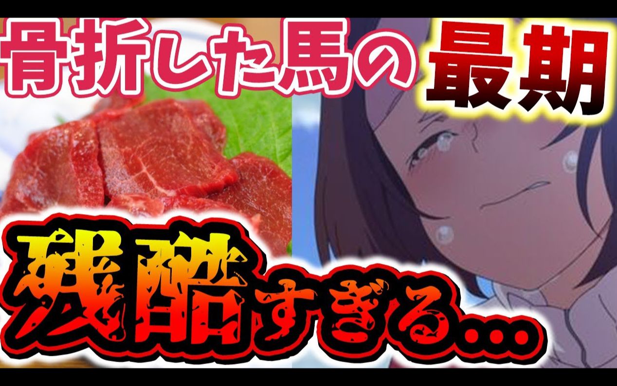 【赛马娘/中字】正经科普,赛马骨折后的残酷命运与引入安乐死系统的...