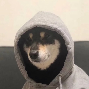 处于新新 