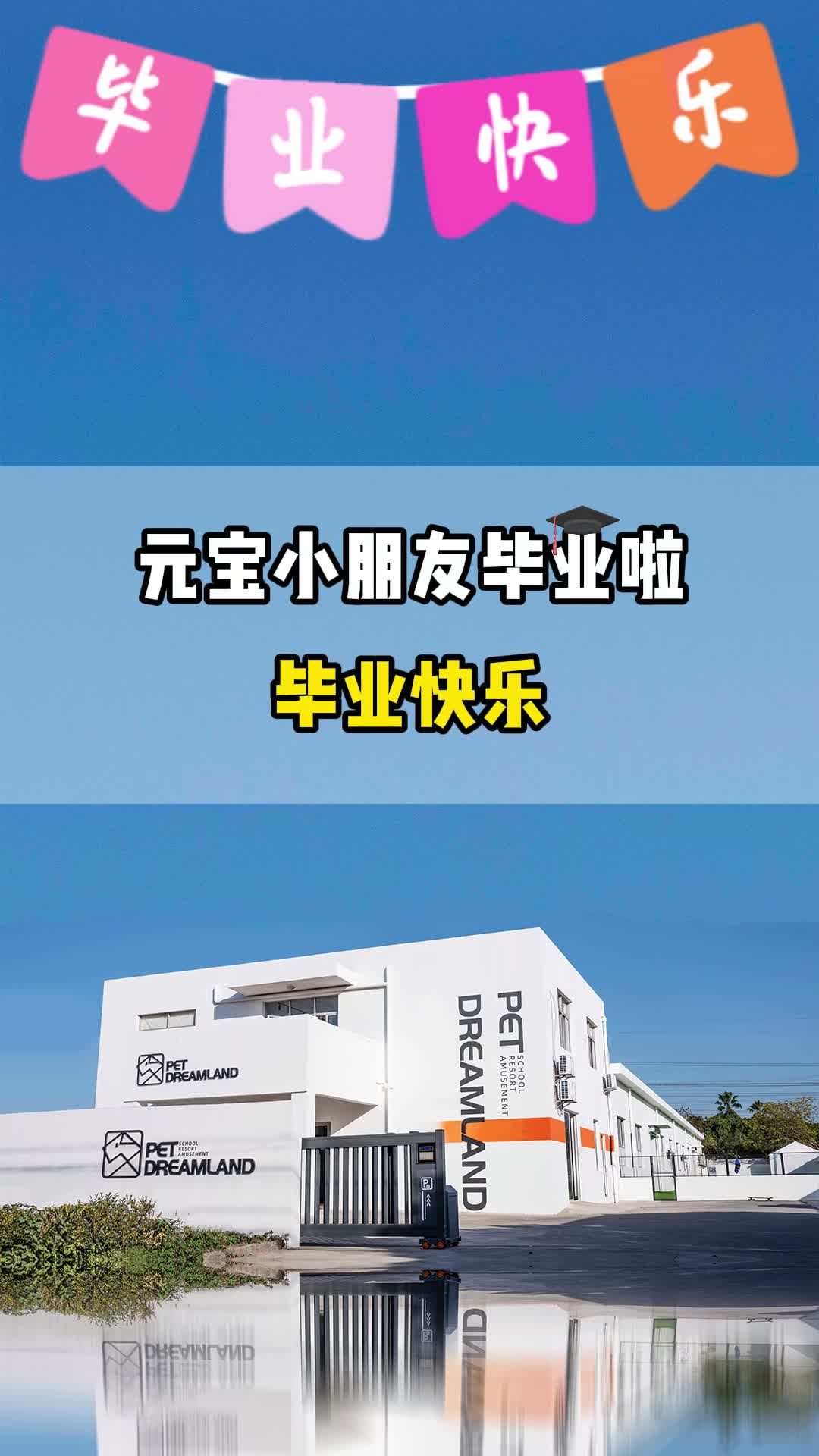 元宝小朋友毕业啦 #狗狗学校 #训犬 #上海训犬师 #狗狗训练 #狗狗行为...