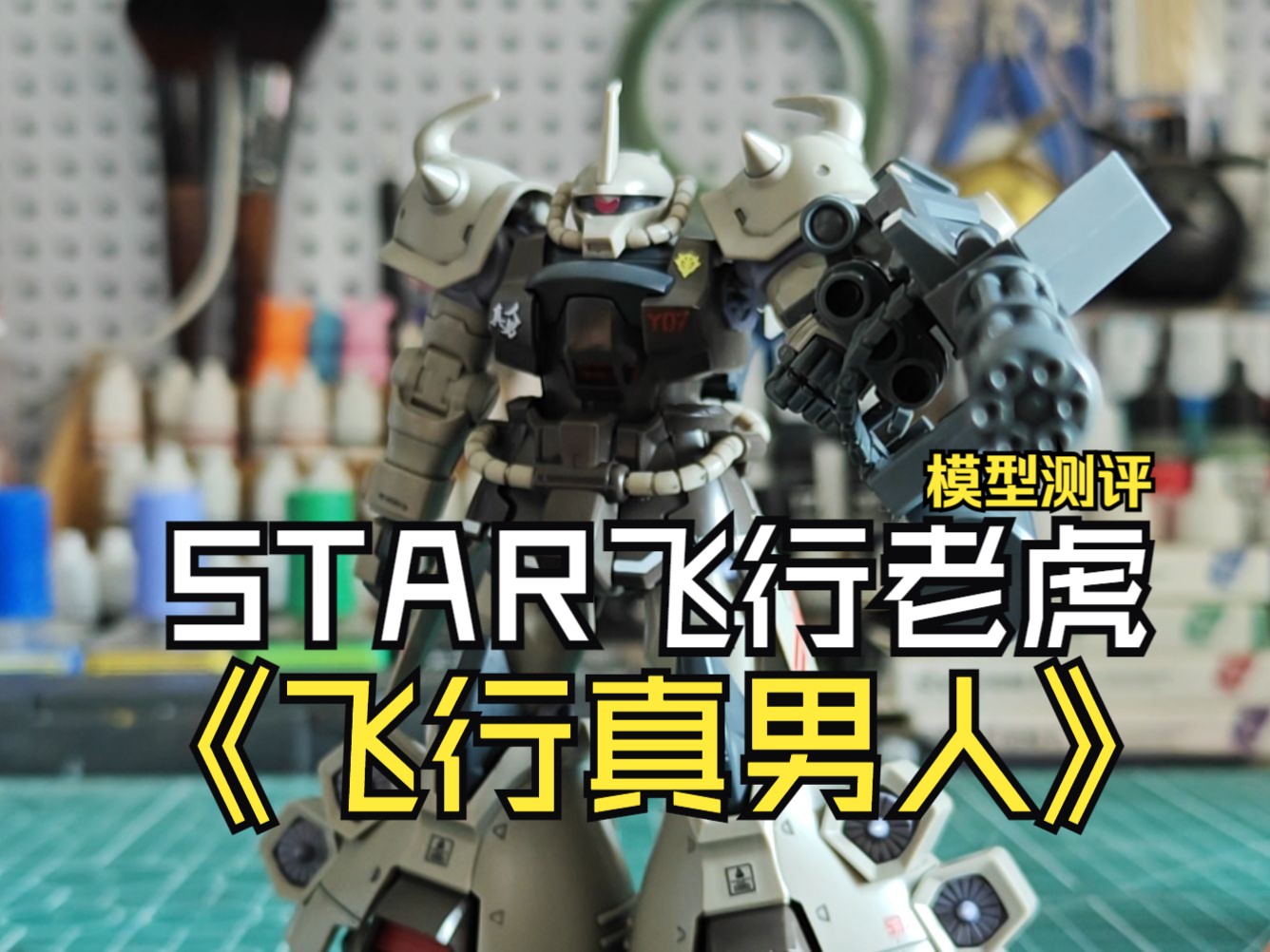 STAR飞行老虎模型测评飞行真男人