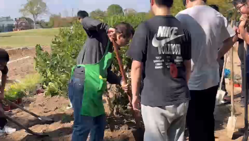 园林植物应用实训课程