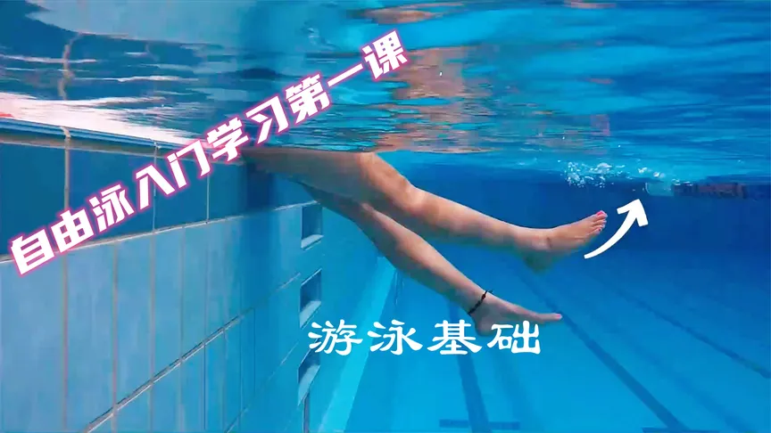 【学自由泳】新手入门第一课——游泳基础