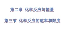 化学反应速率的影响因素