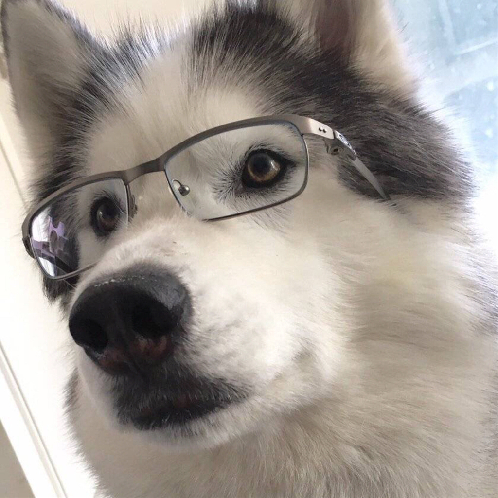 本座鄙视你 