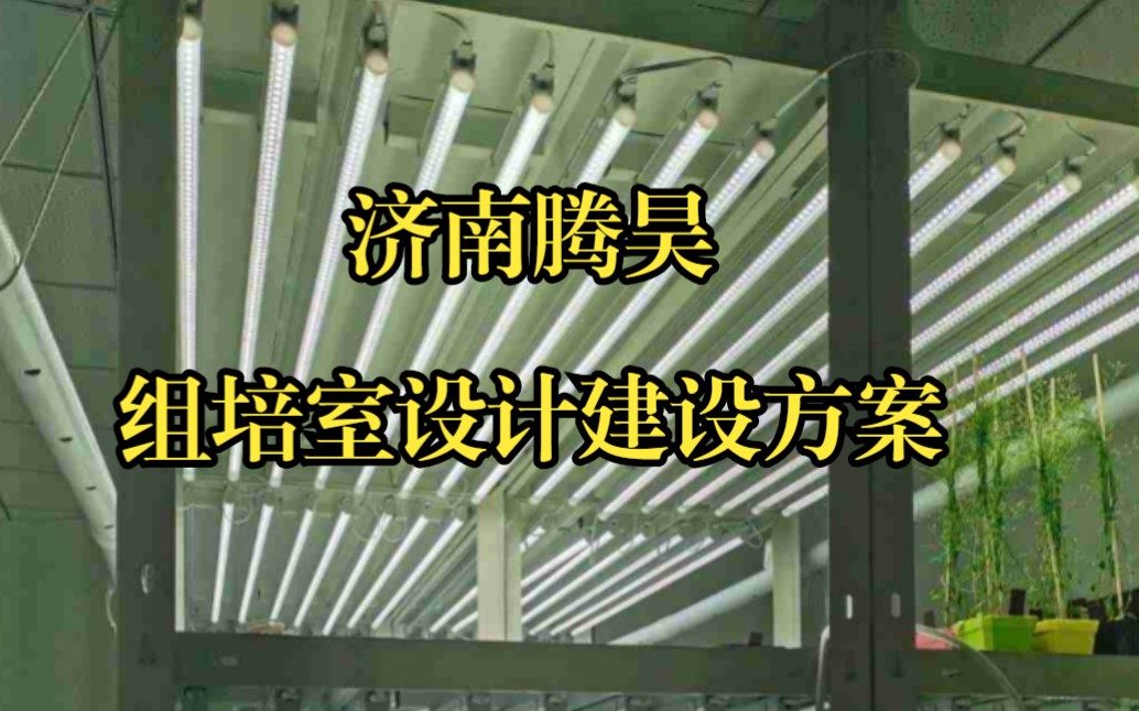 组培室 ,人工气候室,培养室,组培架 培养架 组培室设计建设方案 济南腾昊