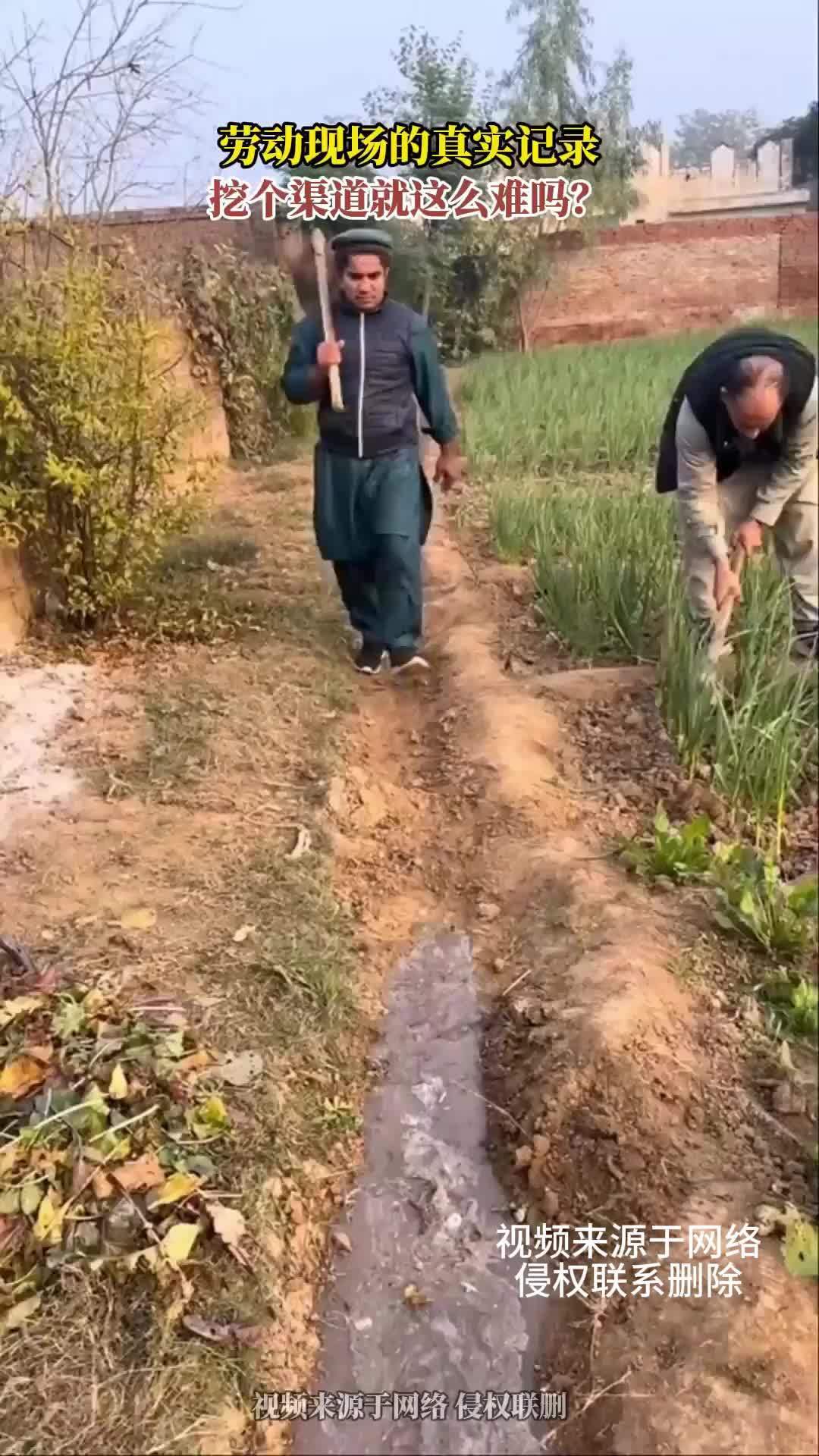 劳动现场的真实记录,挖个渠道就这么难吗?