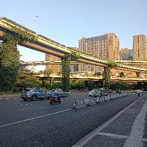 黑暗中的悲情角色 
