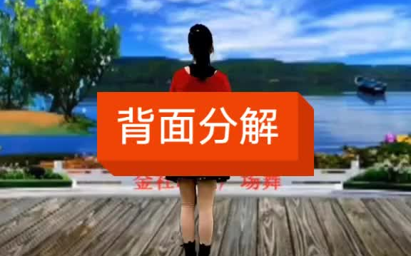广场舞《红枣树》背面分解