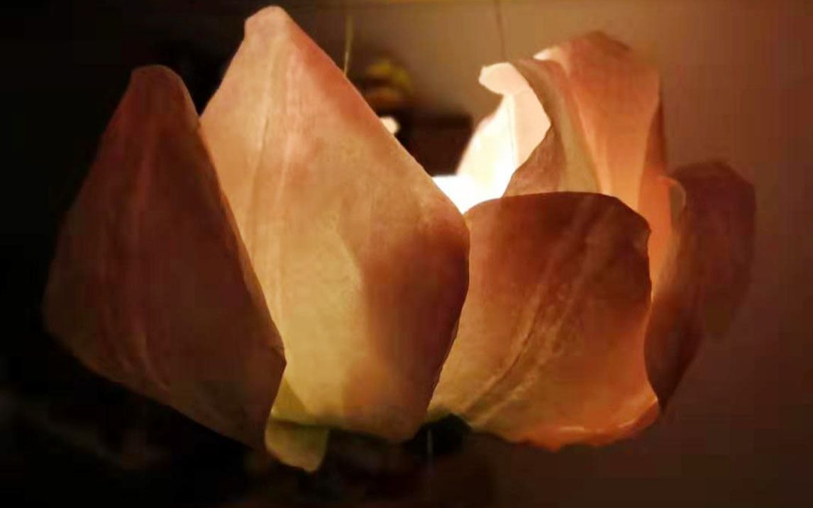 小学生就能独立完成的荷花灯教程!