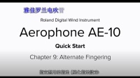 罗兰AE-10电吹管入门视频教程九--电吹管指法设定