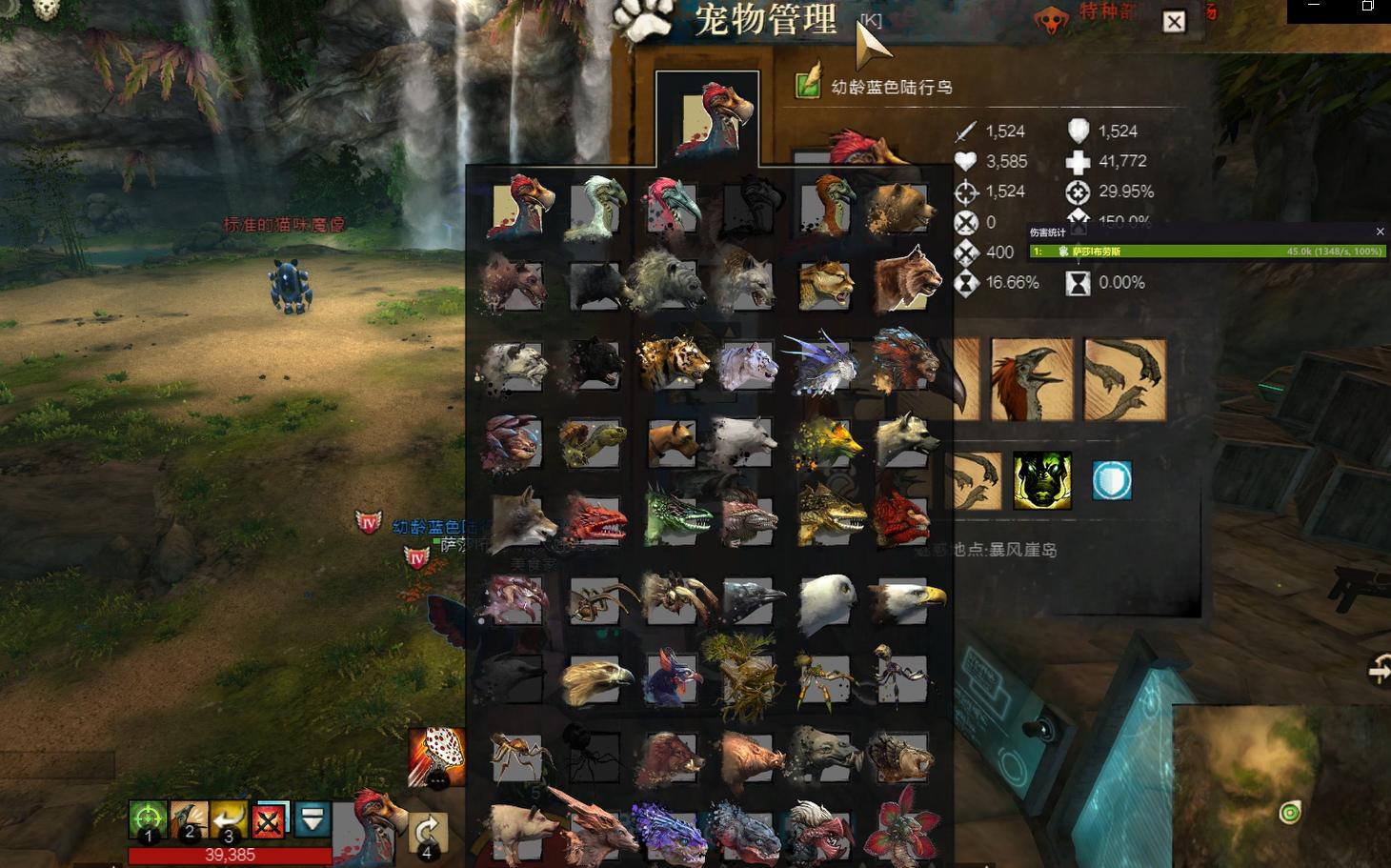 激战2游侠51种宠物全讲解!_哔哩哔哩bilibili_激战2