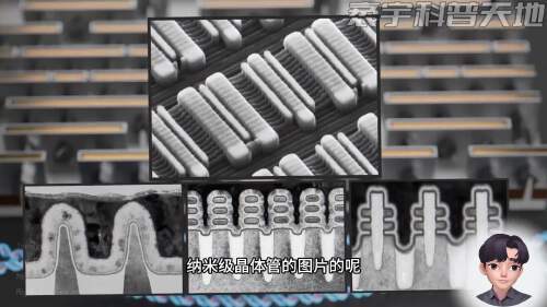 电子显微镜是如何工作的?