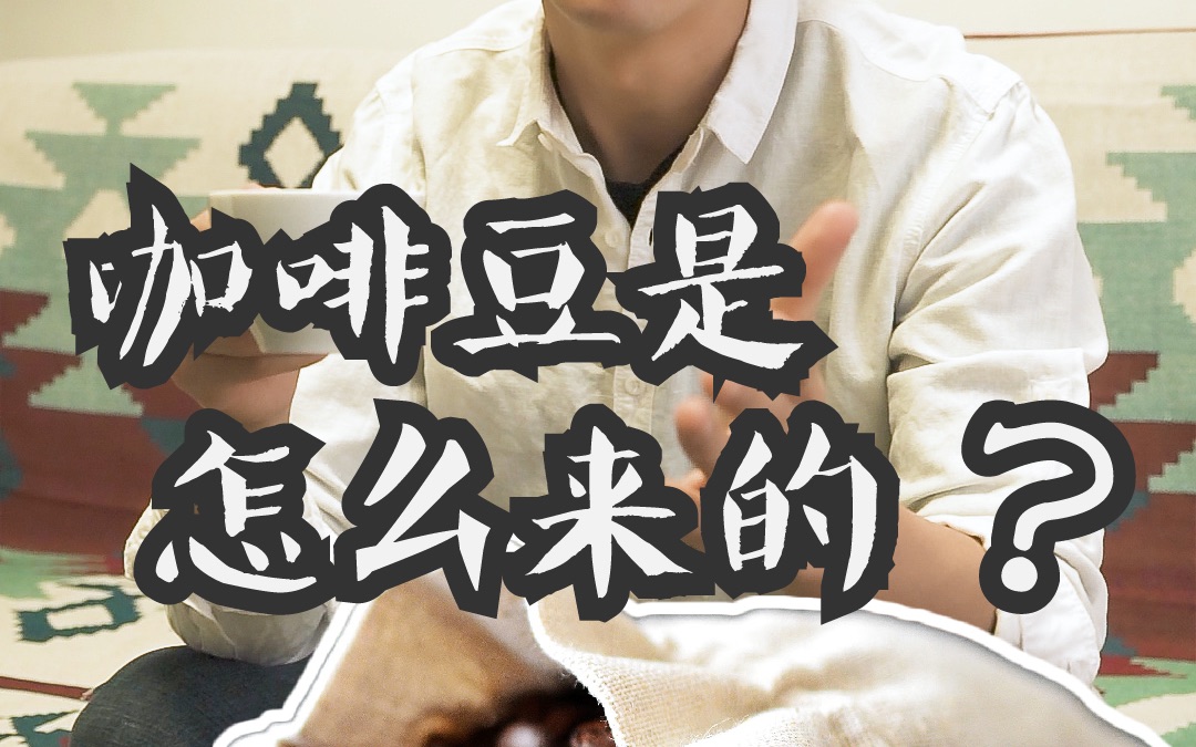 咖啡豆是怎么来的?