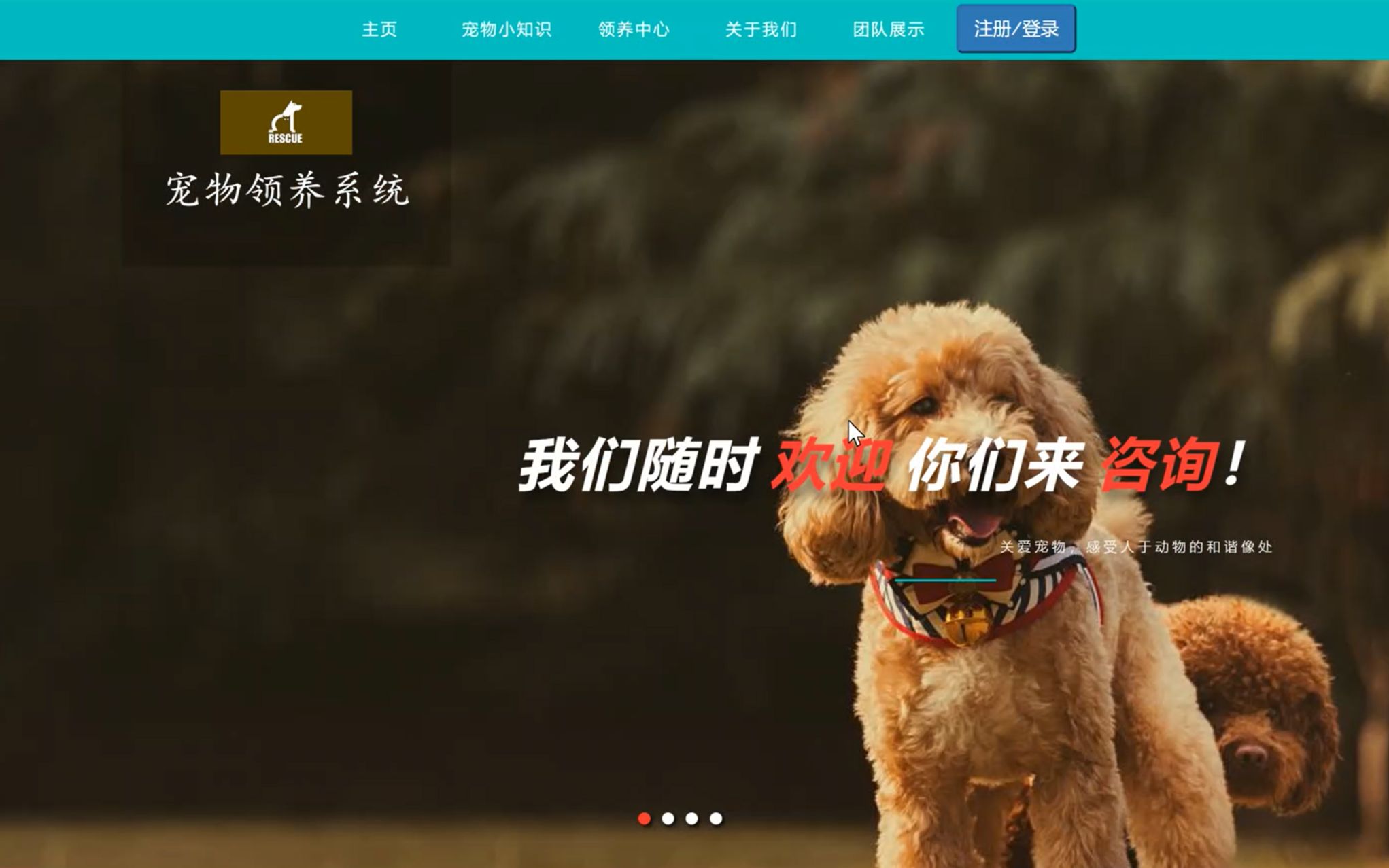基于SSM宠物领养管理系统设计