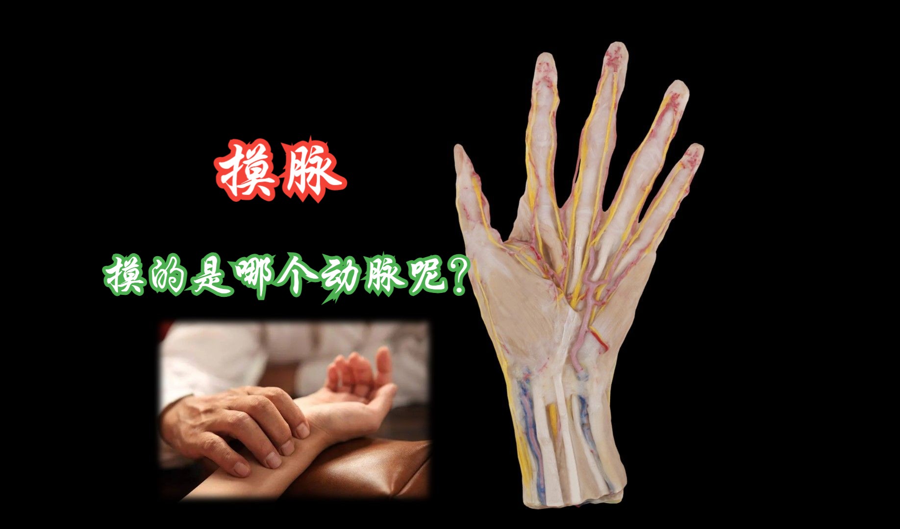 摸脉,摸的是哪个动脉呢?