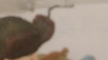 四年级上册语文书有鬼!