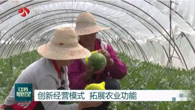 创新经营模式,拓展农业功能,新产业新业态增添乡村发展动能