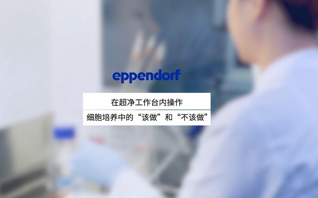 【实验技巧】“细胞培养小贴士”系列之第三集——在超净工作台内该...