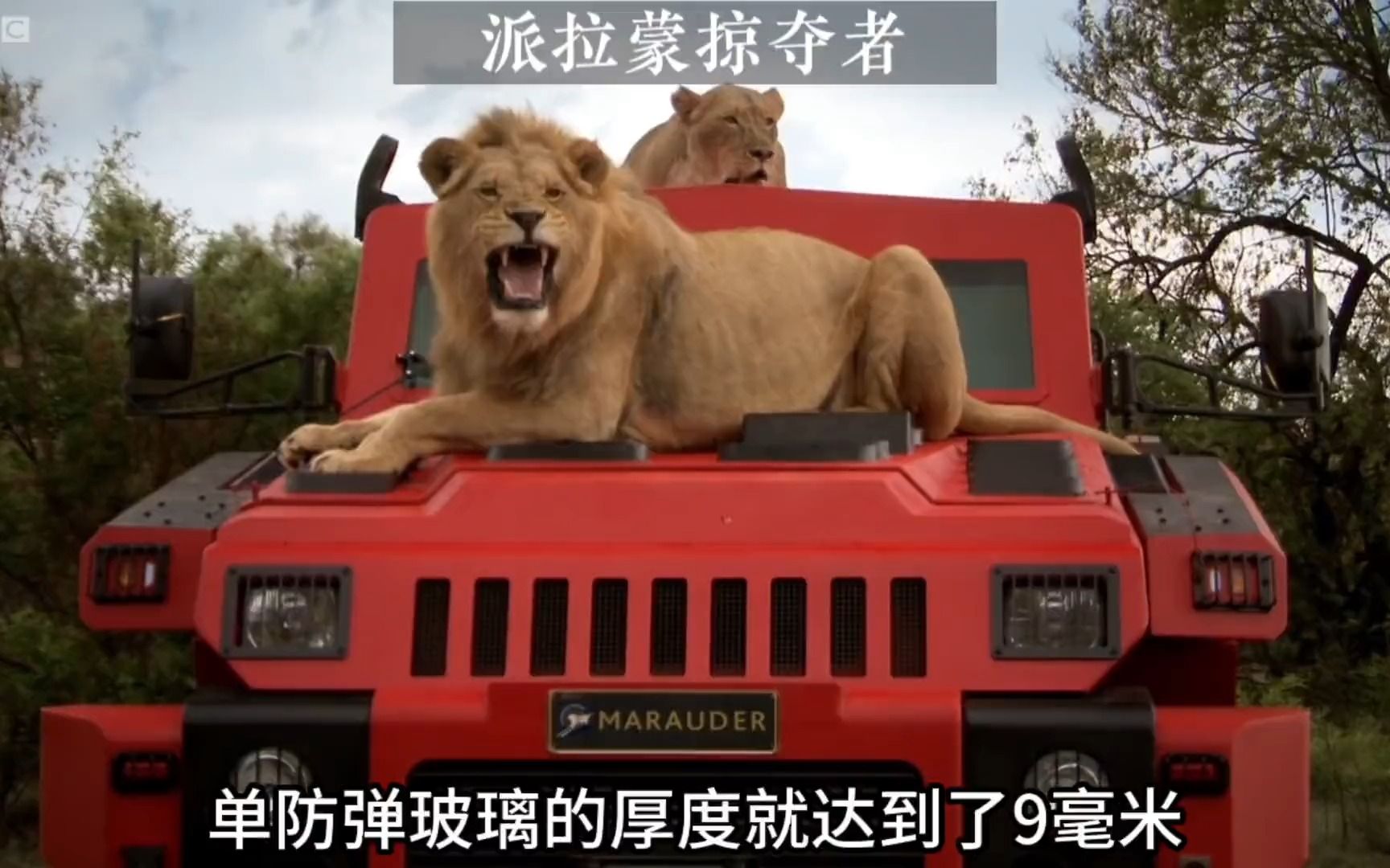 大G和悍马在他面前是弟弟,撞不坏炸不烂,真正的装甲王者