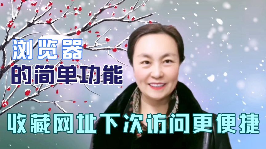 浏览器的简单功能,收藏网址下次使用更方便,姐姐也才知道