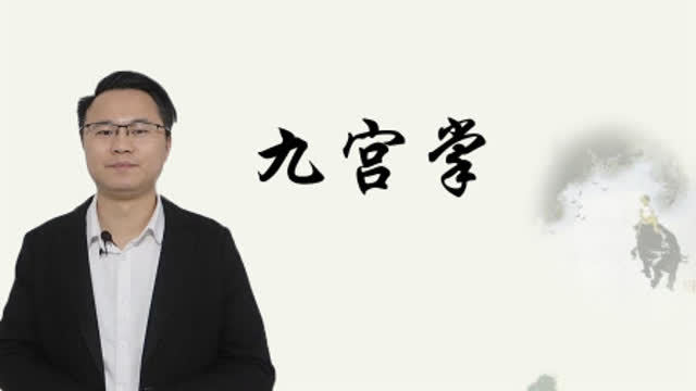 什么是九宫掌来看看吧#李双林全部的讲解视频