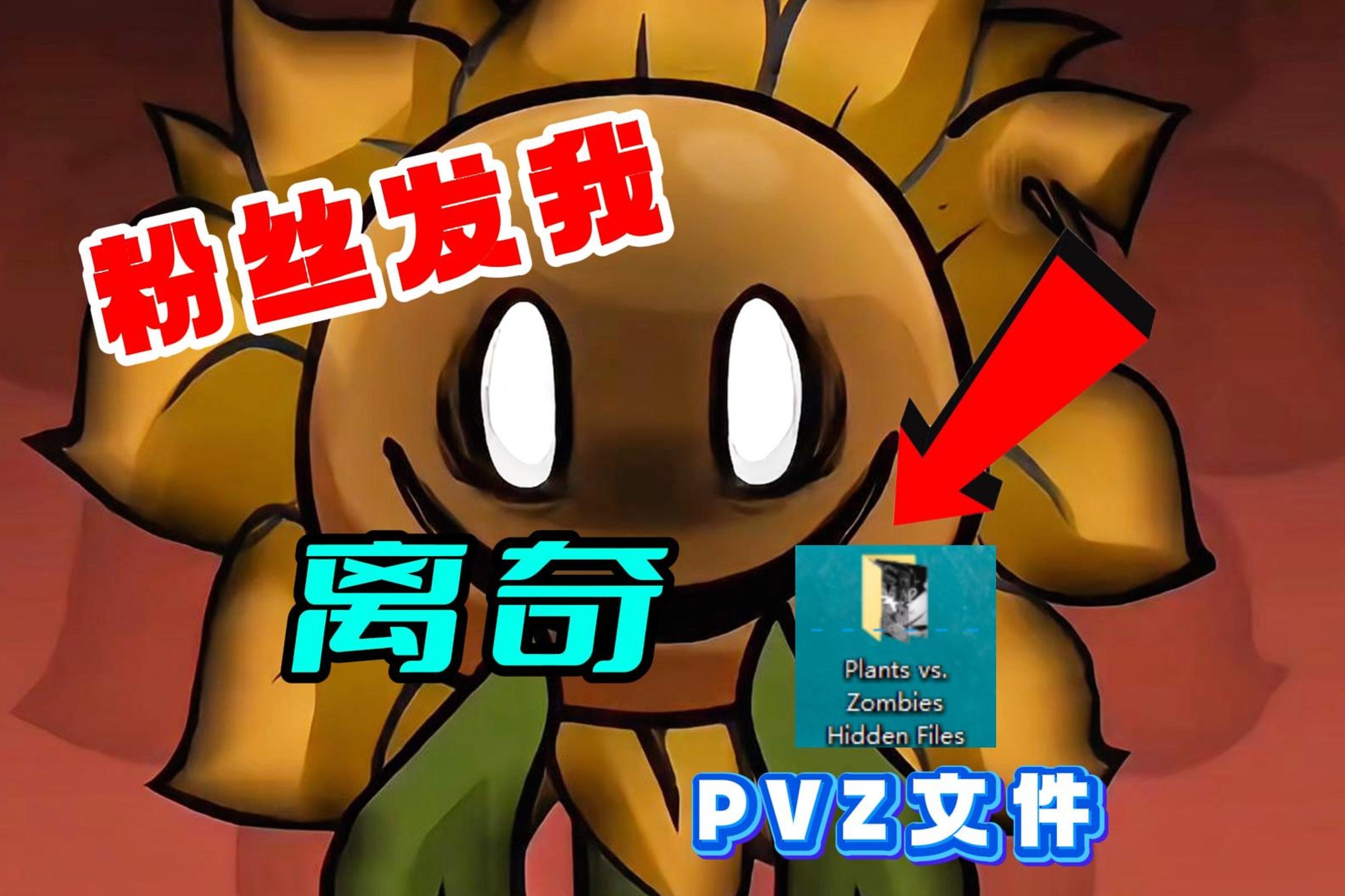 好粉丝发我一份神秘PVZ文件夹!