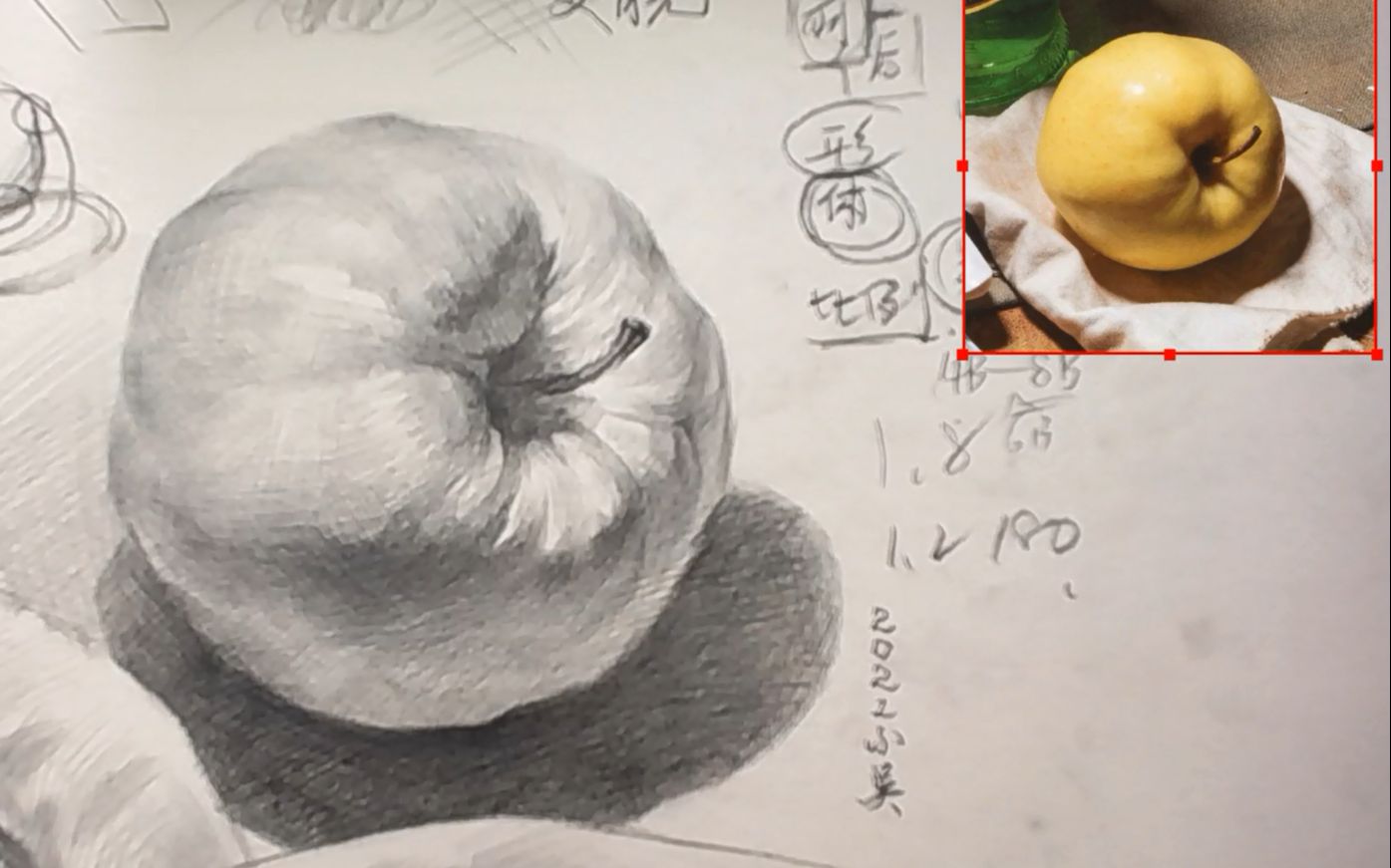 【素描静物教程】小白必学的素描静物之一苹果的画法,详细讲解教学