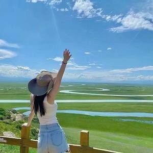 企鹅游玩日记