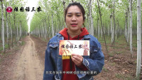 植树造林不但对生存环境有好处,而且可以增加农民收入!