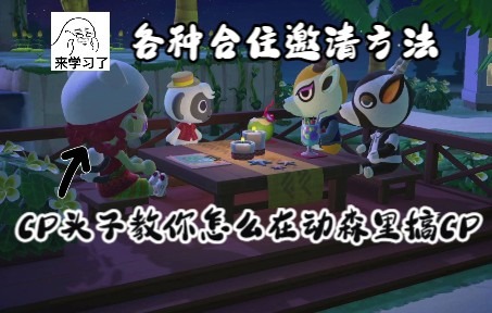 【动森攻略】手把手教你如何在动森里搞CP——合住功能的各种邀请...
