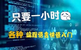 国外超火编程视频教程!适合新手快速入门各种语言!(中英字幕)