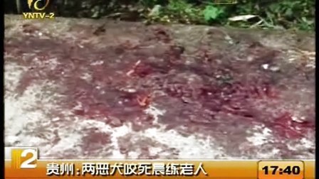 贵州:两恶犬咬死晨练老人