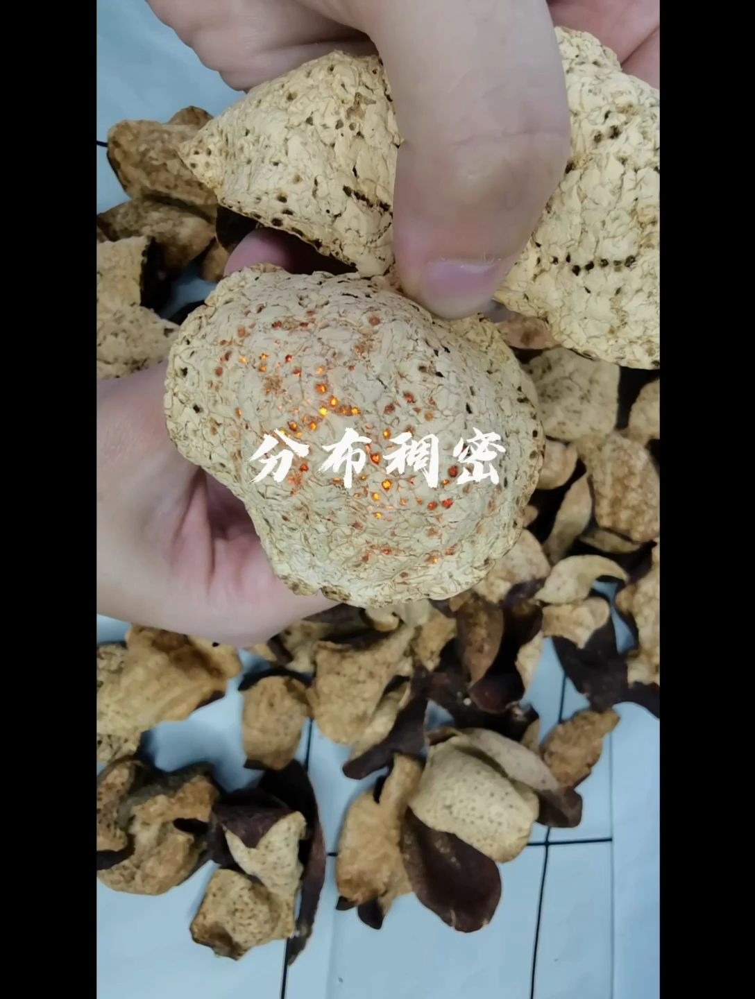 普通陈皮与新会陈皮的区别