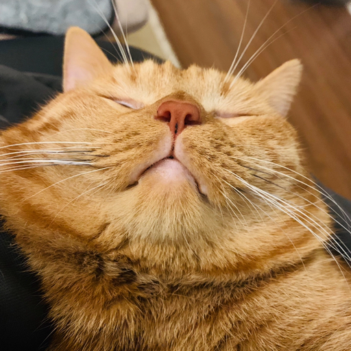 大京就是个画画的 