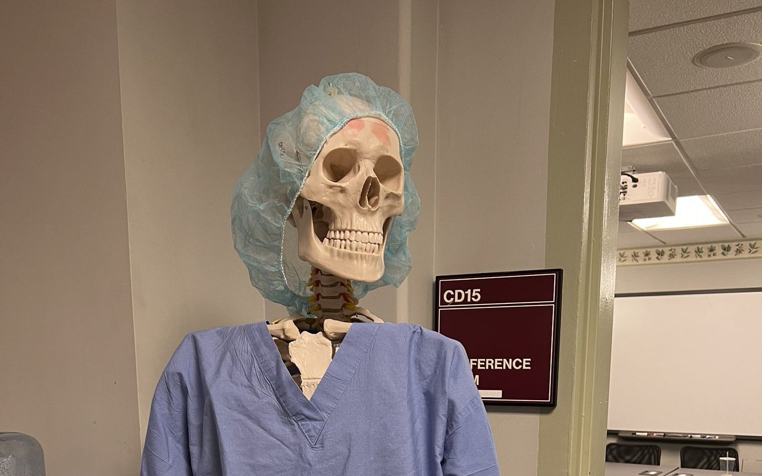 割包皮动画演示 | 暑假又到了