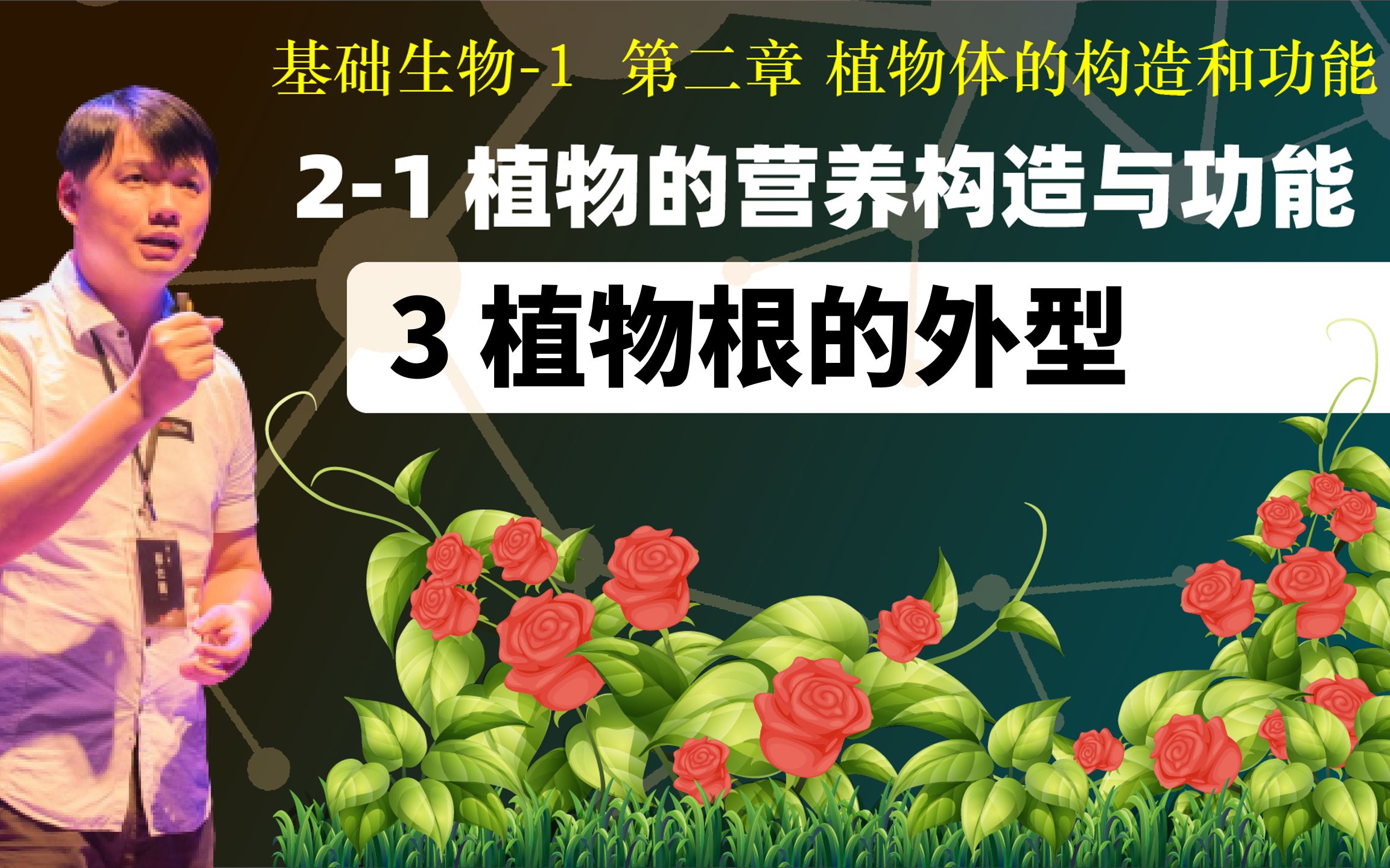 基础生物学 2-1.3 植物根的外形