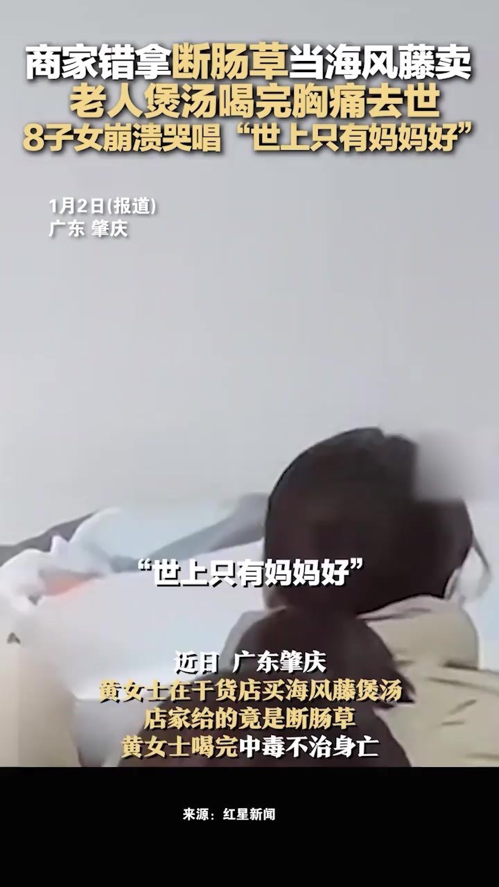 商家错拿断肠草当海风藤卖,老人煲汤喝完胸痛去世,8子女崩溃哭唱"...