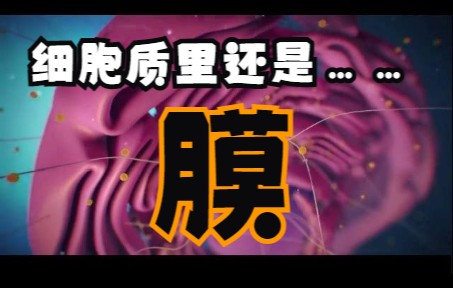 1.3.2细胞器…还是膜?