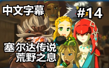 【中文字幕】《塞尔达传说》#14实况攻略第14期~火之圣兽(下)~