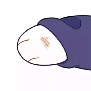 阿远的碎碎念 