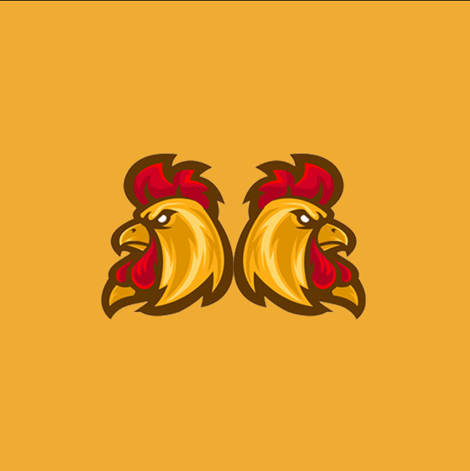 天赐俩鸡 