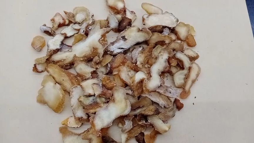 常用中药—黄精