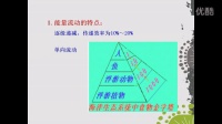 八年级生物下册 第23章 第3节《生态系统的结构和功能》课件 (新版)北...