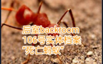 后室/科普/backroom-106号实体档案“死亡蚂蚁“