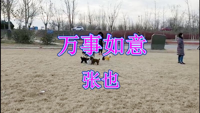 2018年要事事如意,平安健康!一首《万事如意》送给你