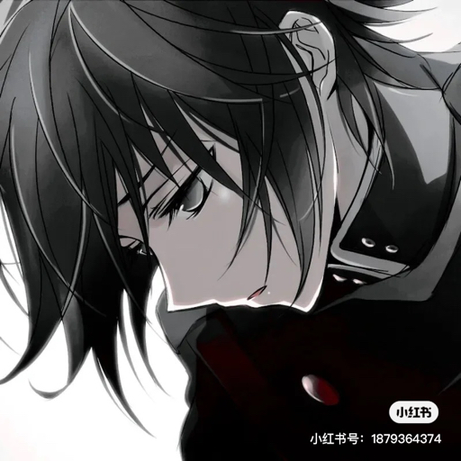 皓皓是个空客党 